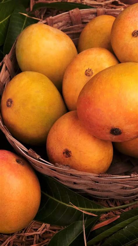 Who Is Jonathan Oddi Diddys Alleged 5 Million ‘sex Slave Who Stormed Trumps Golf Resort