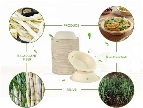 Sustainable Packaging Evolution The Rise Of Sugarcane Containers