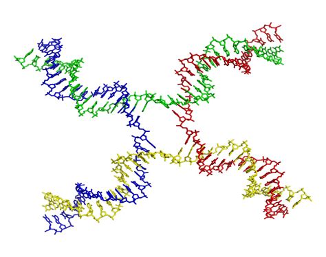 Dna 3 D Structure Molecule Pattern Abstraction Genetic