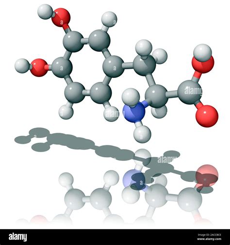 Levodopa Molecule Molecular Model Of Levodopa Or L Dopa A Drug Used In The Management Of