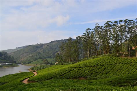 2 Free Meghamalai And Hill Station Images Pixabay