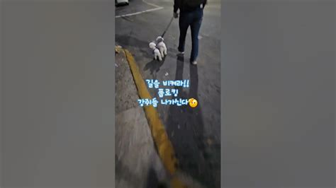 풉로킹 하면서 단양보호소 바다랑 젖소 ♡ 보러가기 유기견봉사 입양처급구 사지말고입양하세요 Youtube