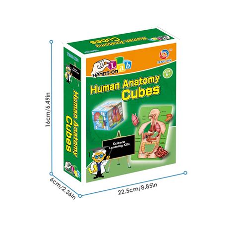 Science Classroom Displays