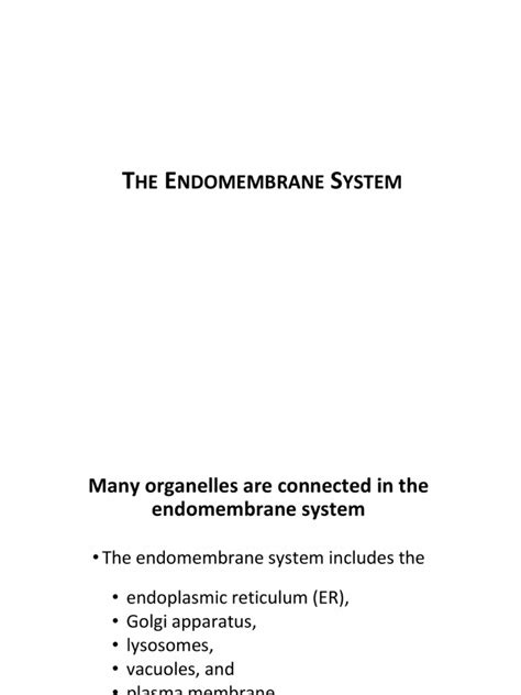 3b Cell Structure Ii Pdf