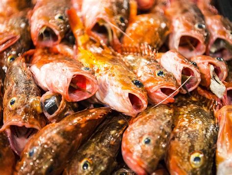 Step Into Thailand Mastering The Art Of Pad Cha Pla Weera Thai Blog