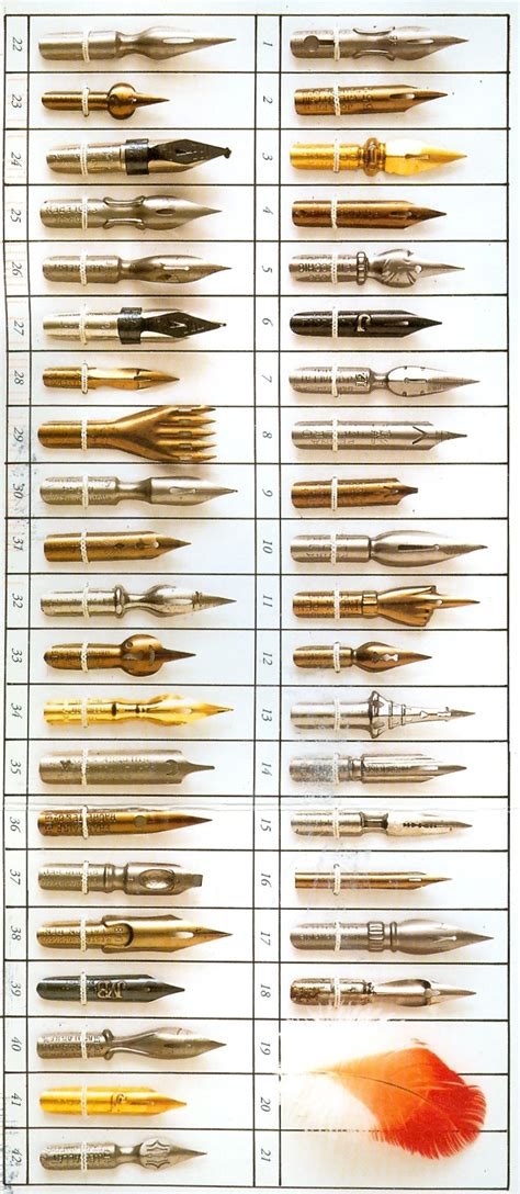 Assortment Of Calligraphy And Fountain Pens