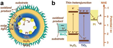 A Structure Of Pt Tio2 In2o3 Mnox Mesoporous Hollow Sphere Pt And