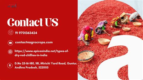 Ppt Red Chilli Export From India Powerpoint Presentation Free
