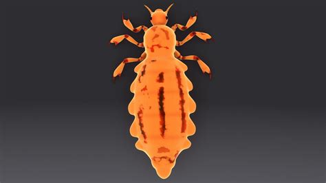 Pedículo Modelo 3d 99 Ma Obj Unknown Free3d