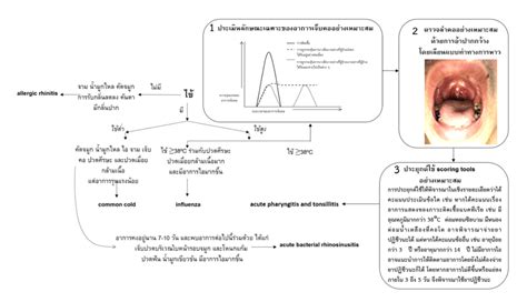 วงการแพทย์ วงการยา การประยุกต์ใช้ Clinical Scoring Tools สำหรับวางแผนรักษา โรคคออักเสบ และ