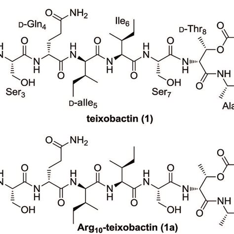 Structures Of Teixobactin 1 And Arg10 Teixobactin 1a Download
