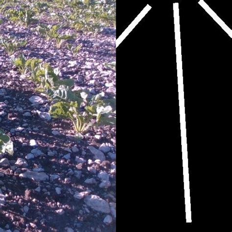 Sample Image And Respective Ground Truth Label Mask Download