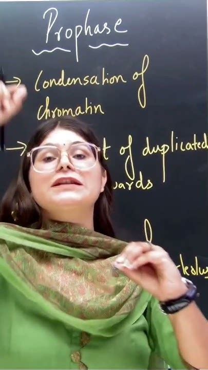 What Happens In Prophase Shorts Viralshorts Youtube