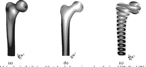 Figure 12 From A Model Of Bone Adaptation As A Topology Optimization