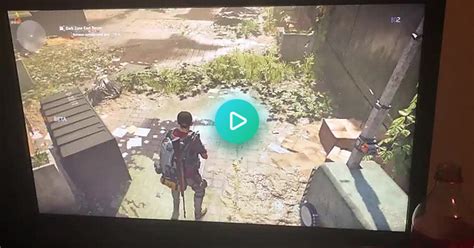 E Gross Bugs Album On Imgur