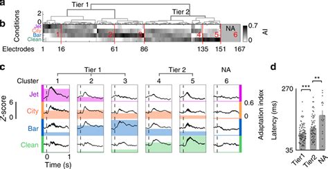 Diversity Of Adaptation Patterns Across Electrodes A B Hierarchical