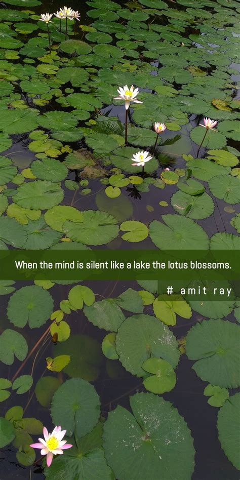 Pin By Aswartha Ram On Quotes Nature Quotes Beautiful Nature
