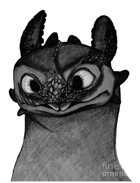 Drawing How To Train Your Dragon Tranet Biologia Ufrj Br