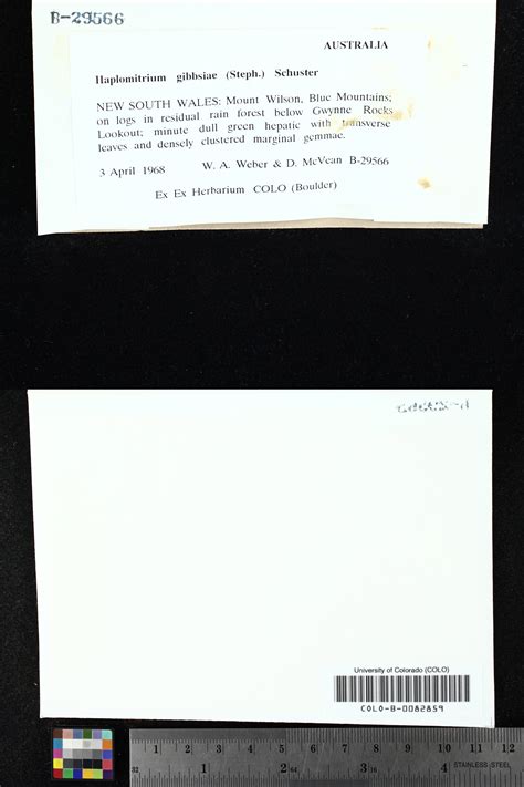 Consortium Of Bryophyte Herbaria Occurrence Profile