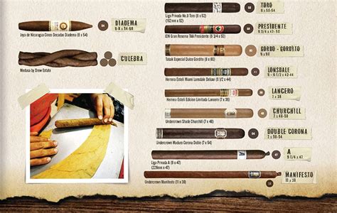 Cigar Size Chart Cigar Ring Size Chart Ring Sizes Chart Cigar