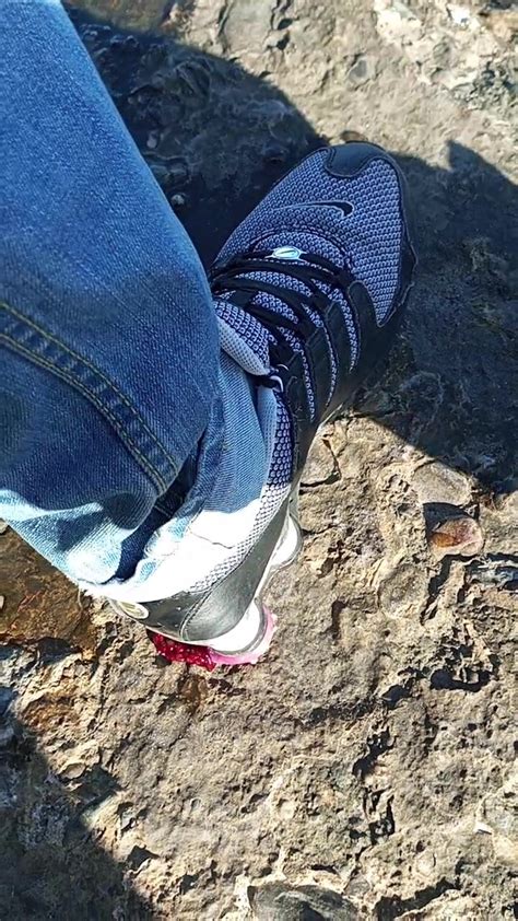 Le Figuier De Barbarie Sous Les Shox