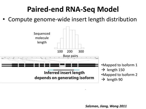 Ppt Rna Seq As A Discovery Tool Powerpoint Presentation Id2485031