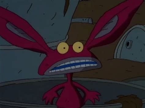 🦇 𝖑𝖎𝖈𝖍𝖑𝖎𝖓𝖌𝖘 Of Sale🖤💋 On Twitter Sairaspooks It Was This Lil Guy 😭 94fm7zou1h