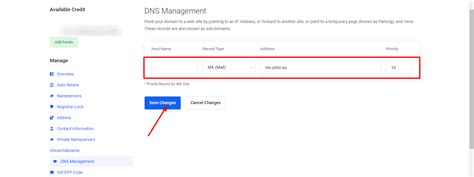 How To Add Mx Record In Free Dns Management Netspace™ India