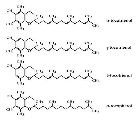 Chemical Structure Of Sitosterol And Campesterol 31 Tocols Tocols
