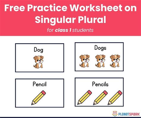 Plural Vs Singular Class 1 Grammar Practice Planetspark