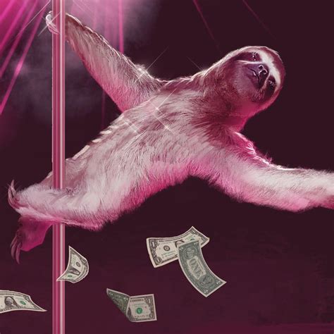 Sharp Shirter Funny Sloth Poster Sexy Wall Art Stripping