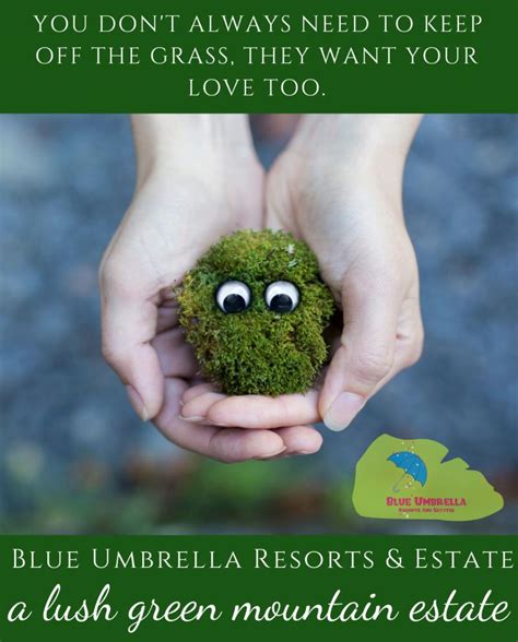 Smita Rani Posted On Linkedin