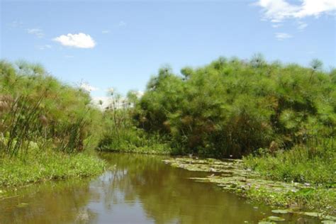 Catchment Management Nile Basin Initiative