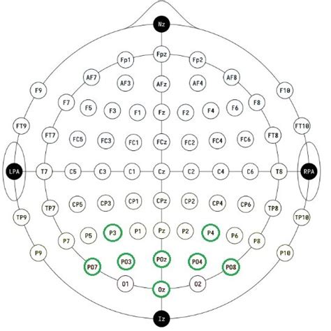 In Green Are The Electrodes Used In This Work Download Scientific Diagram