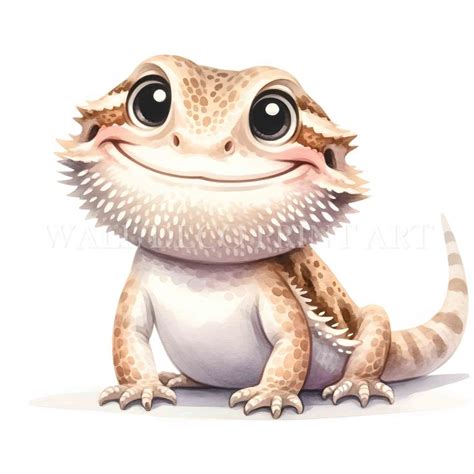 Soft Sketch Bearded Dragon Clipart Bundle 7 High Quality 