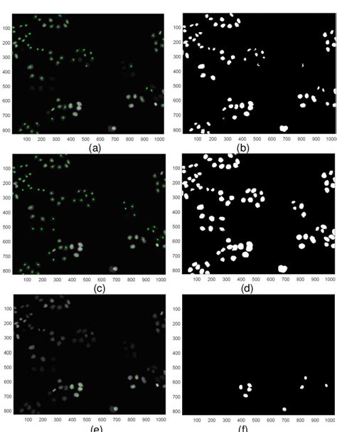 Figure 4 From A New Approach For Cell Detection And Tracking Semantic Scholar