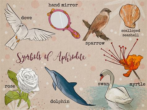 Aphrodite Symbol Decoding The Love Goddess Sacred Items 🐚