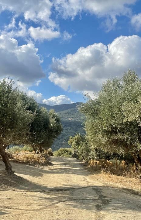 Recent Eu Sustainability Developments 🌱🌳🌿🍂🍁