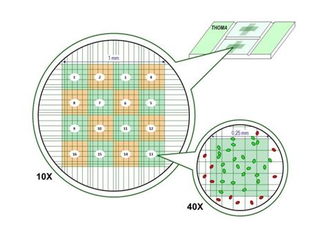 Bacterial Count Bacterial Count Total Bacterial Count Viable