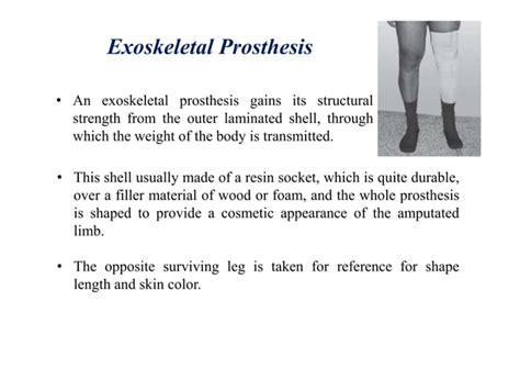 Prosthesis Pdf