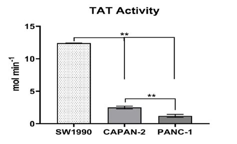 Constitutive Articulation Of Tumor Associated Trypsinogen In Tissue