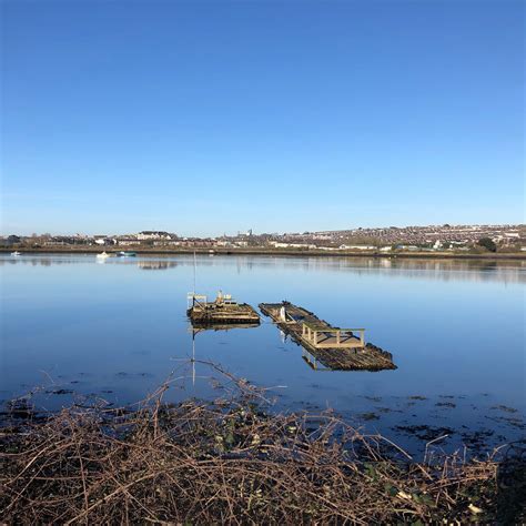 The Skiving Scholar Home