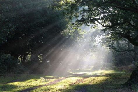 Light And Shadow Billy Grahams Daily Devotion
