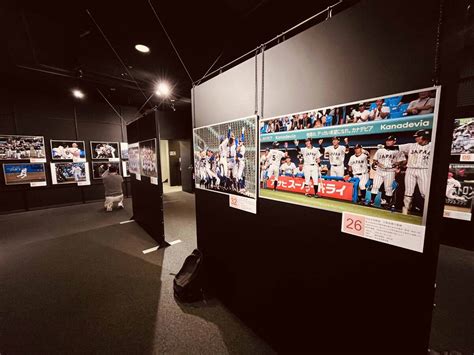 野球報道写真展13日より開幕、今年の名シーンを展示 スポーツ報知