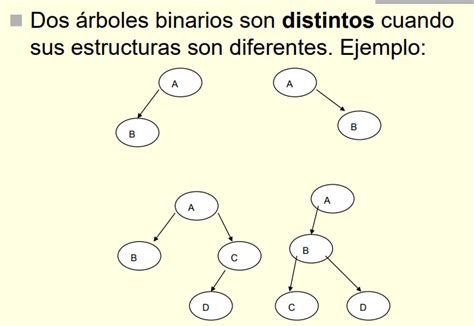 Estructura De Datosarboles Ab Y Abb