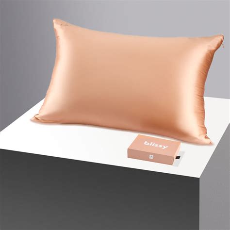 Blissy Silk Pillowcases 100 Mulberry 22 Momme 6a Grade Silk Canada