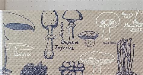 New Journal Album On Imgur