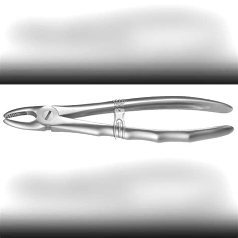 Durable Premolar Extraction Forceps Sale Or Rent Near Me Goldstar