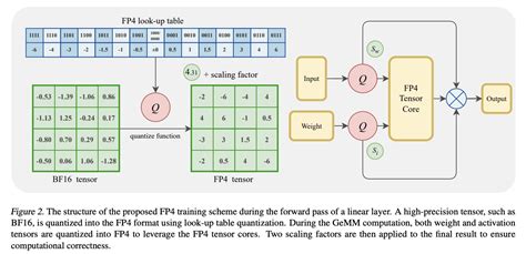 Optimization Using Fp4 Quantization For Ultra Low Precision Language