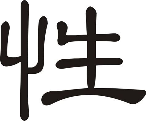 Napis Na ścianę Po Chińsku Sex Naklejkolandia